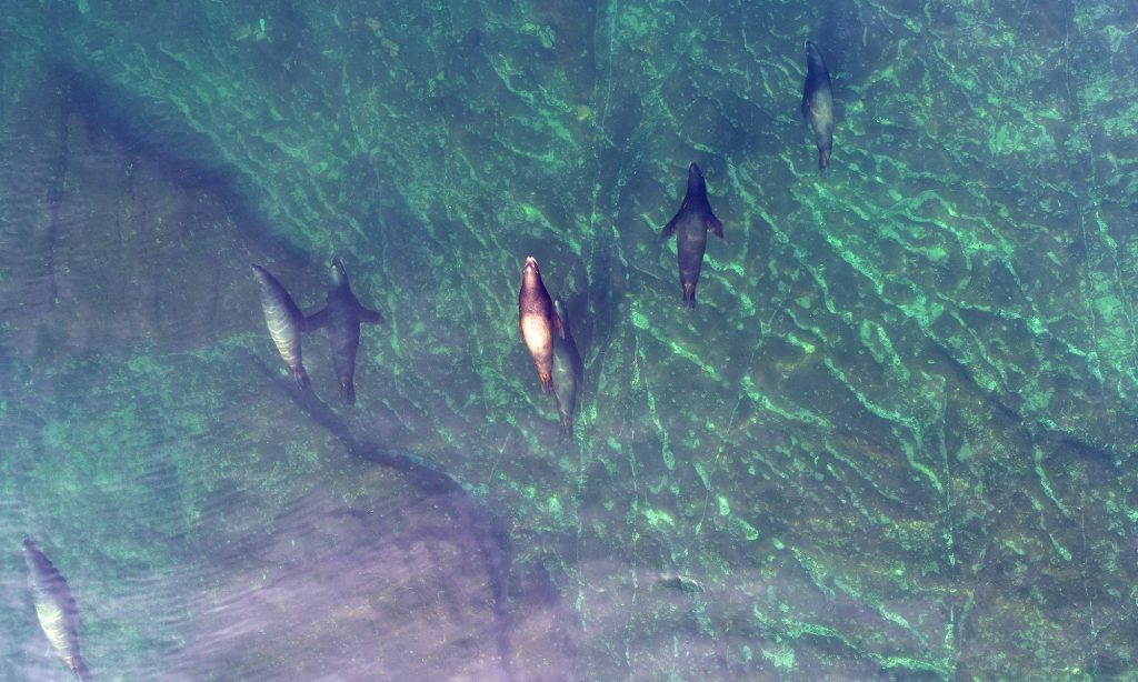 Custom Framing – Island Exposures Gallery